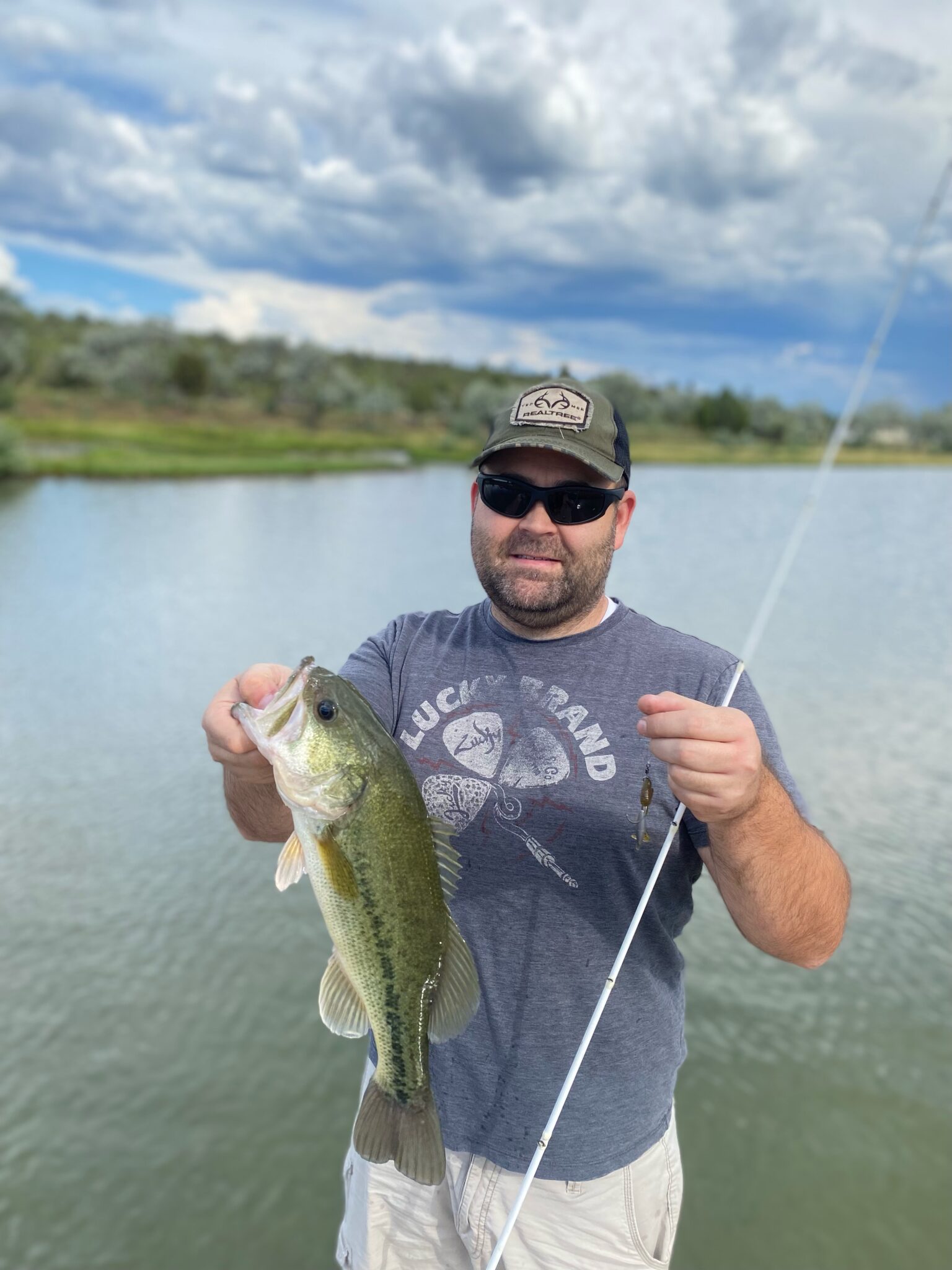 Tokyo Rig for Bass FishingLive Bass Fishing