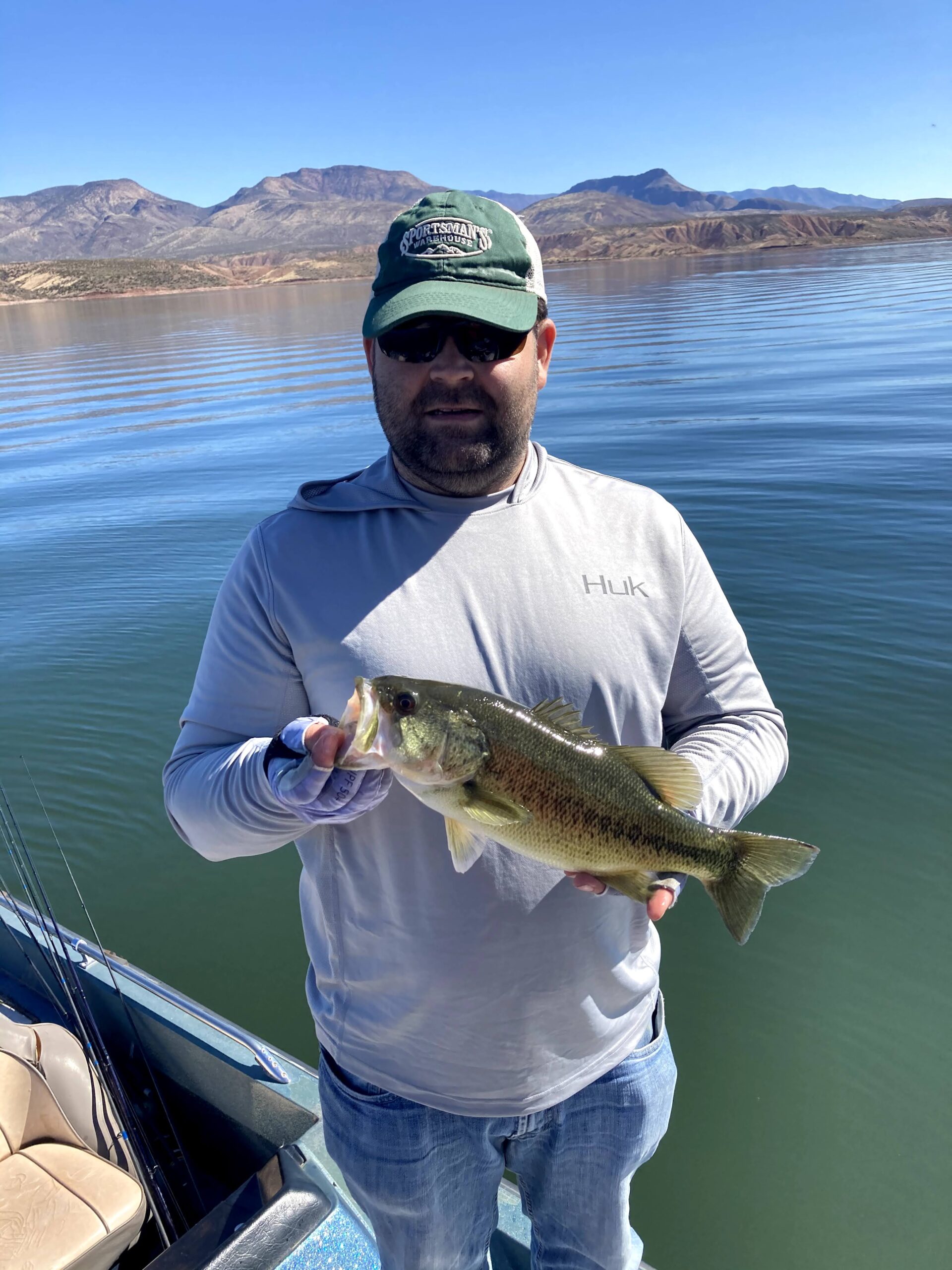 Best Drop Shot Baits for Bass Fishing -Live Bass Fishing