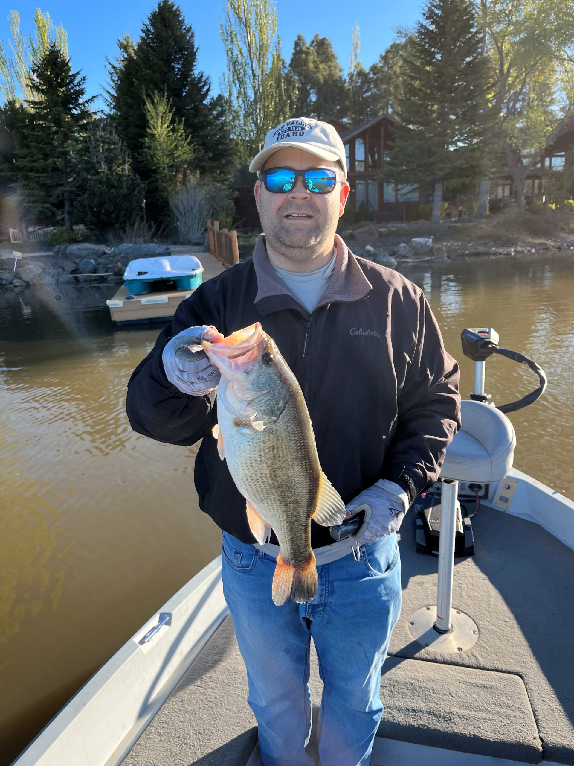 Catching Bass on a Chatterbait and What You Need to KnowLive Bass Fishing